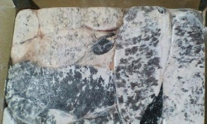 Buy Pacific Cod Roe from Tymlatsky Fish Factory Ltd., Russia ...