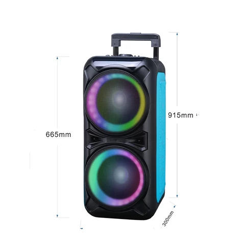 Buy Portabale Trolley Speakers Outdoor Audio Subwoofer Plug Usb Flash Drive Speakers Trolley ...