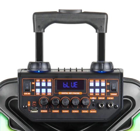 Buy Portable Stereo Subwoofer Bass Party Powerful Stage Battery Party ...