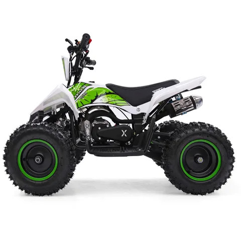 Buy Tao Motor Popular Cheap Chinese Atv Quad 49cc Quad Bike 2 Stroke ...