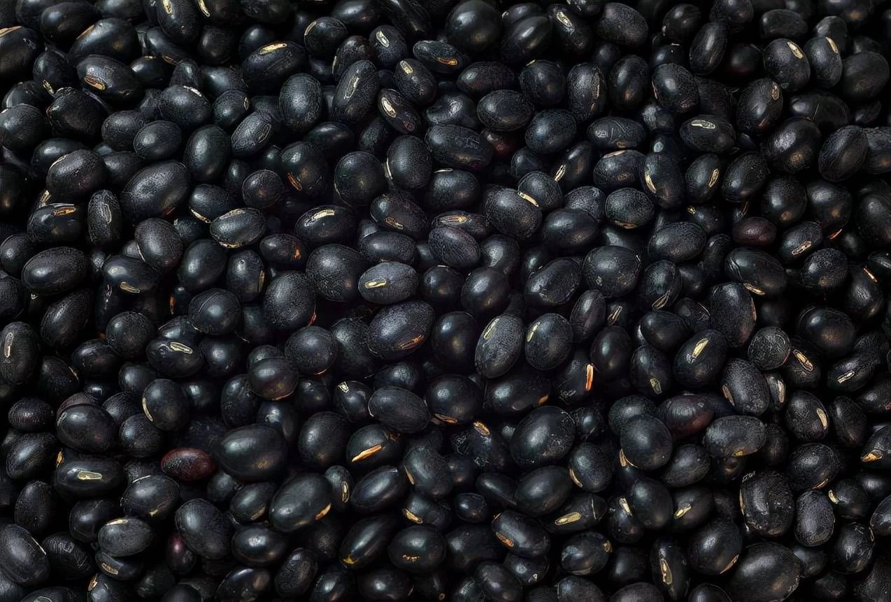Buy Black Bean from Hangzhou Shengshifanghua Catering Technology Group ...