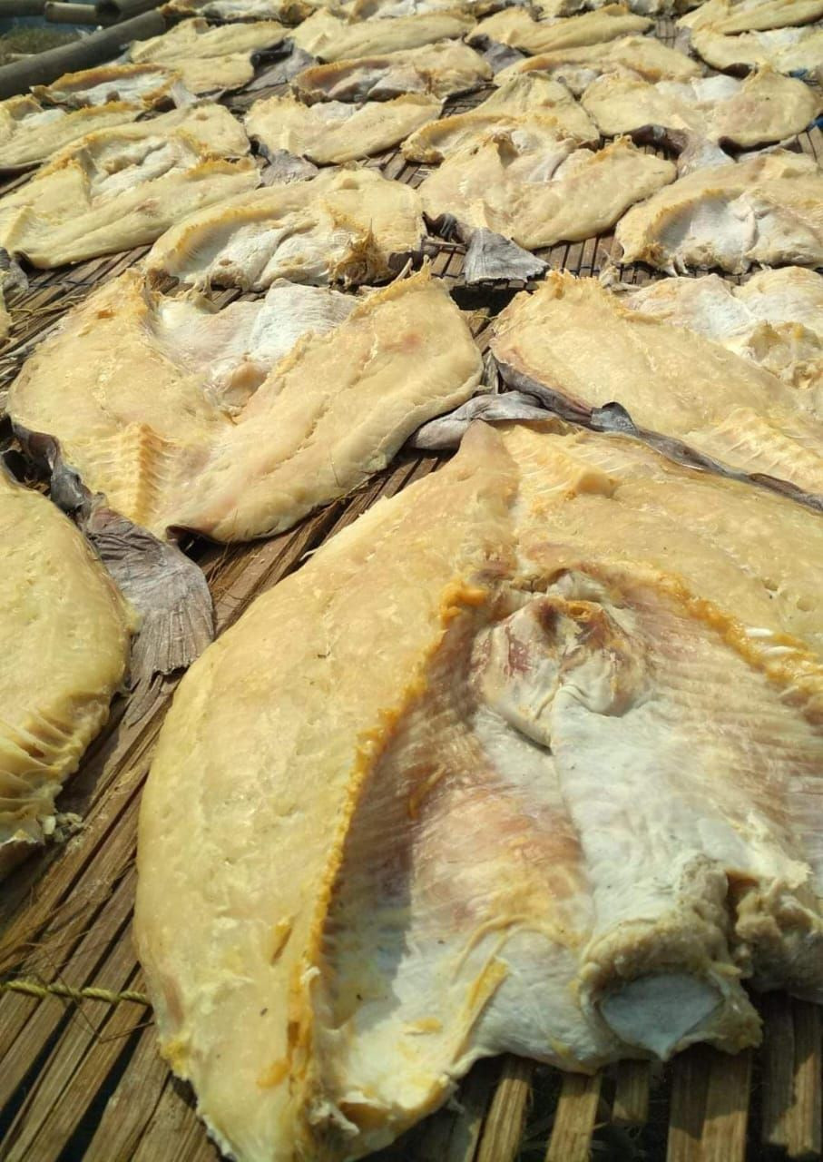 Buy Jambal Roti Salted Fish from BENEFICIAL RISING INDONESIA, Indonesia ...