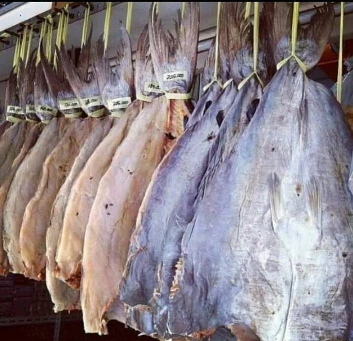Buy Jambal Roti Salted Fish from BENEFICIAL RISING INDONESIA, Indonesia ...