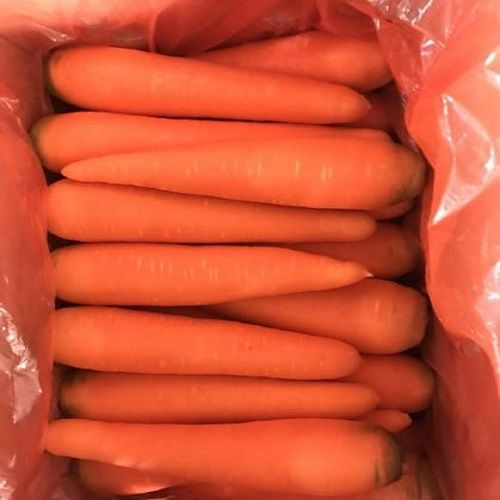 Buy Top Quality Fresh 100% Organic Carrots In Wholesale Price from ...
