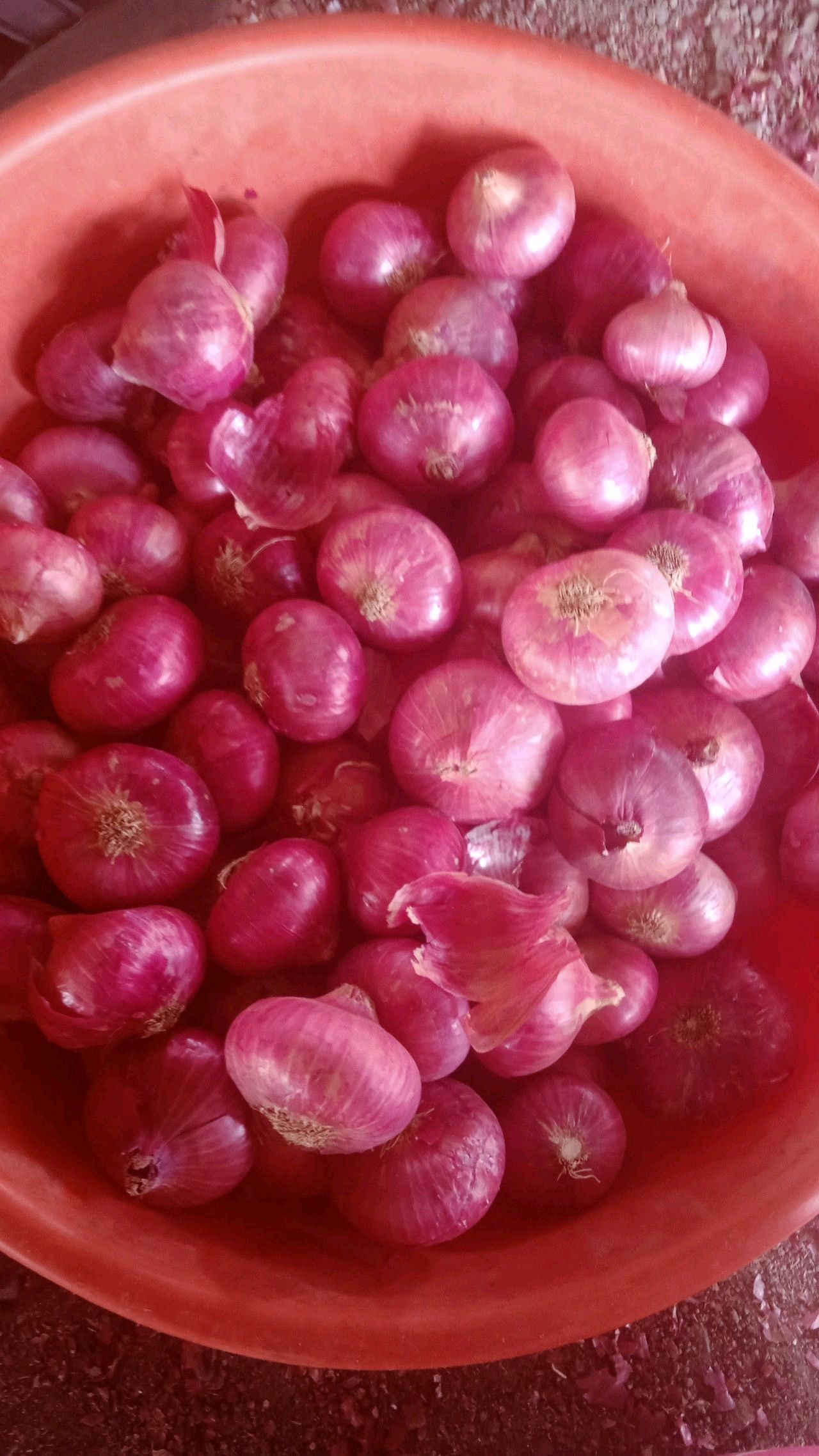 Buy Red Onion from kaizen export, India | Tradewheel.com