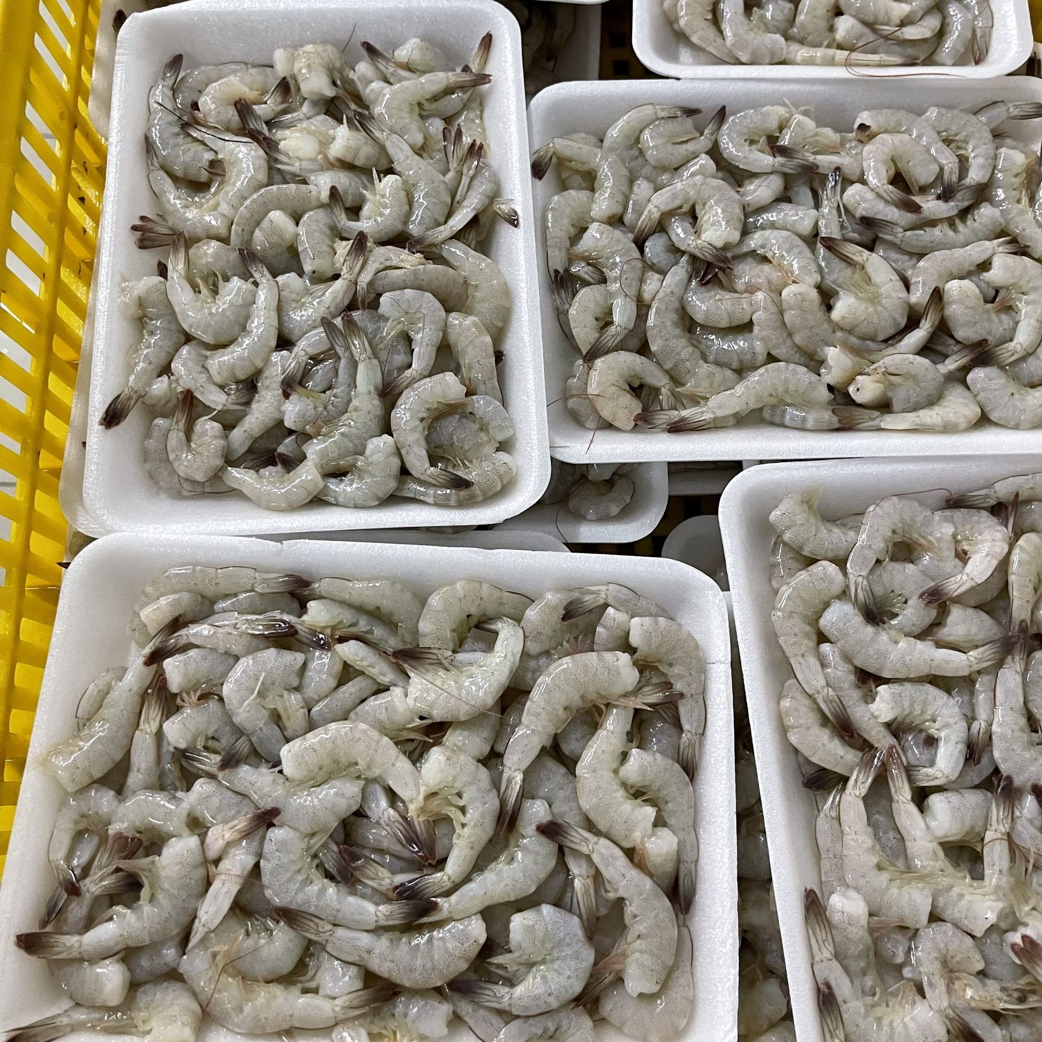 Buy Frozen Big Size Tiger Shrimp For Sale from Eco Edge Company Limited ...