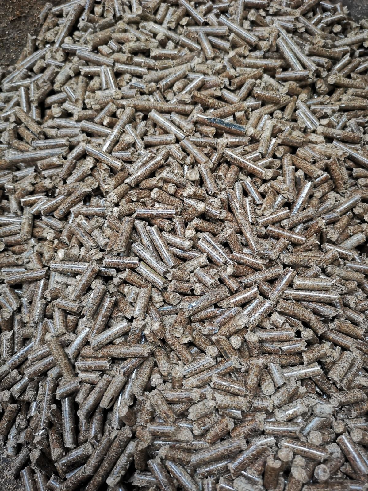 Buy Wood Biomass Pellet from Servoday Plants & Equipments Ltd, India ...