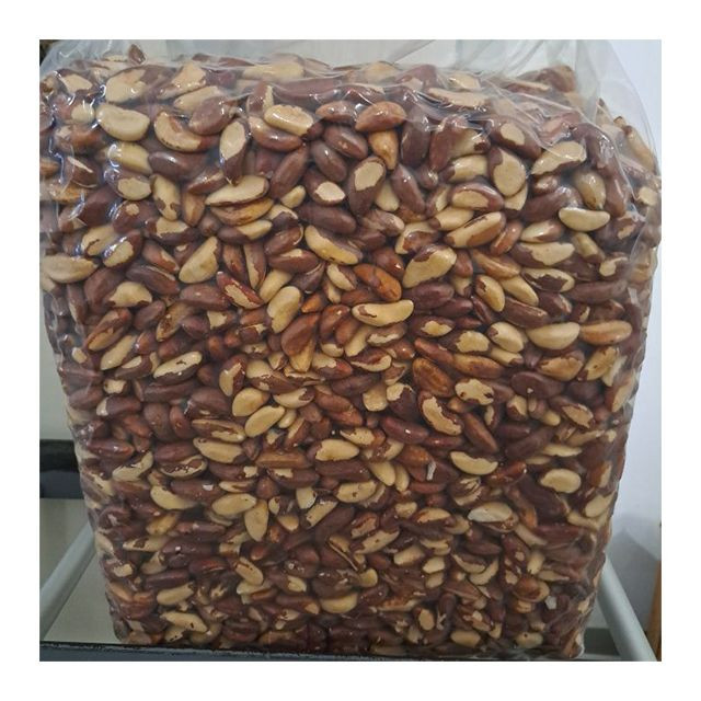 Buy Premium Organic Brazil Nuts Hard Texture Nutritious Salty Taste ...