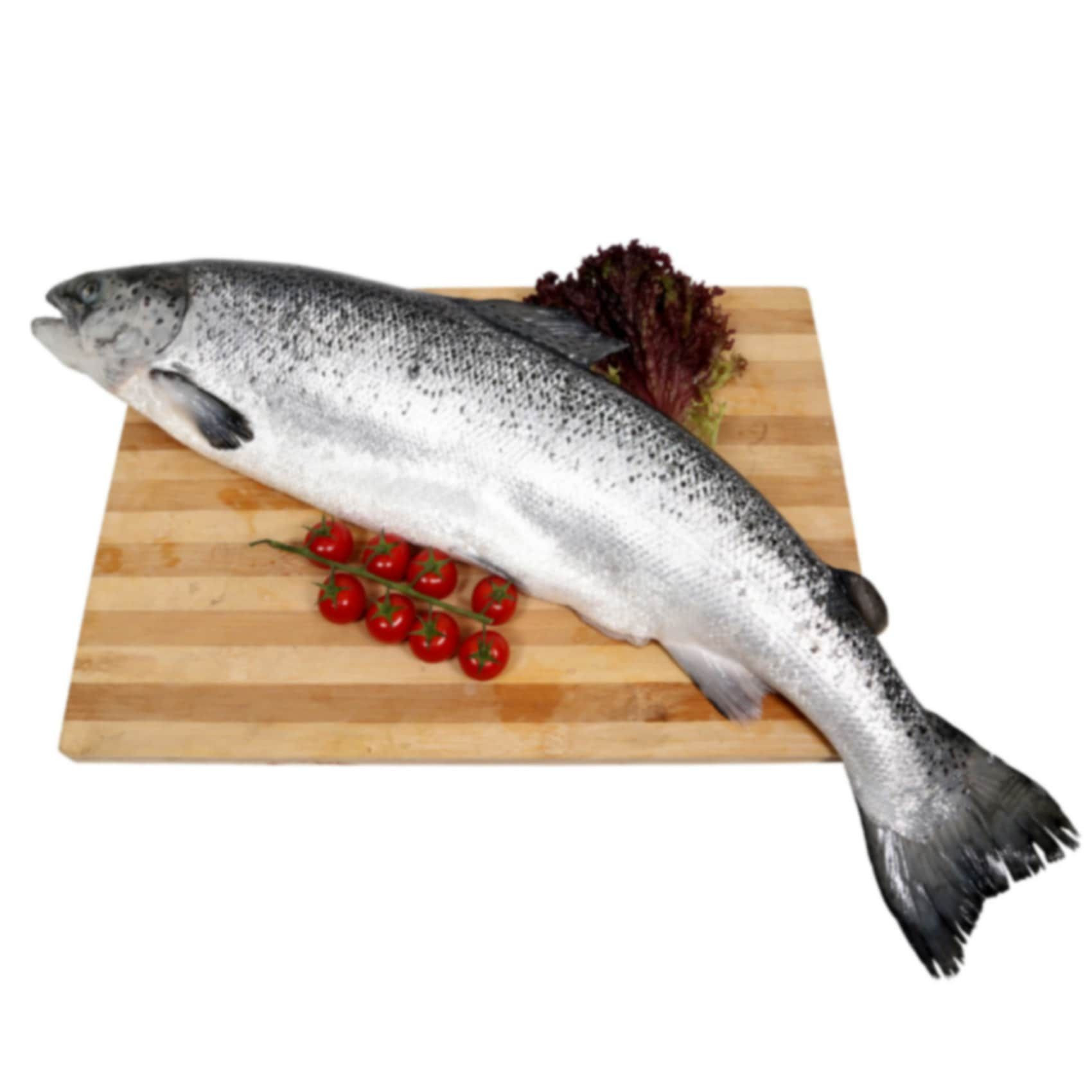 Buy Whole Salmon Fish With Head/gutted Salmon Factory from Shaynes ...