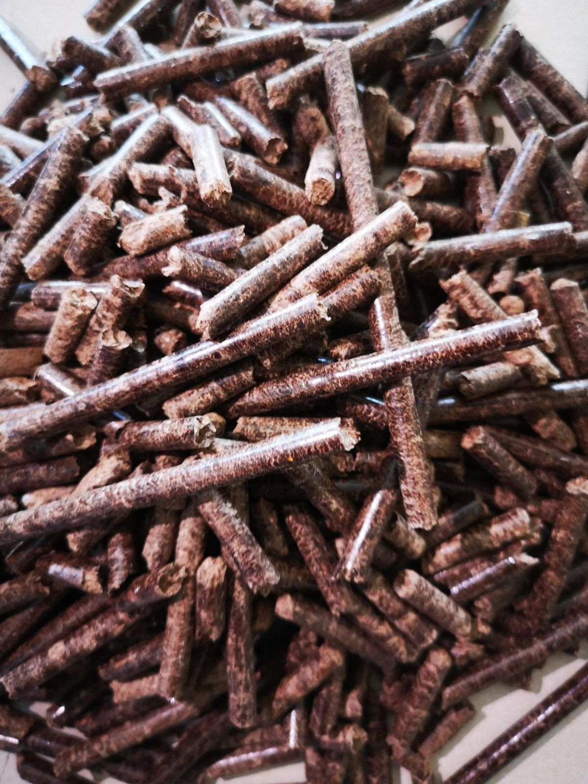 Buy Wood Biomass Pellet from Servoday Plants & Equipments Ltd, India ...
