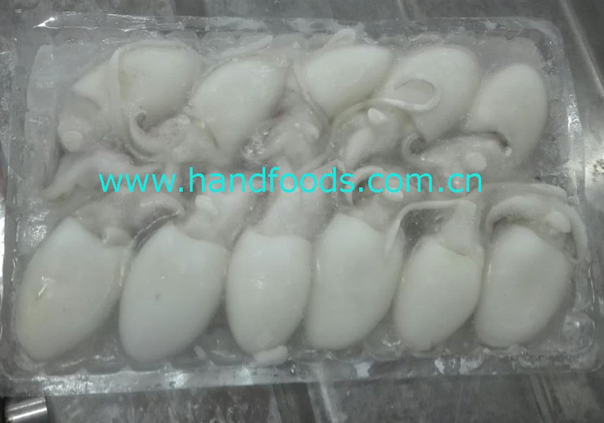 Buy Frozen Baby Cuttlefish from Hand Foods (Dalian) Co., Ltd., China ...