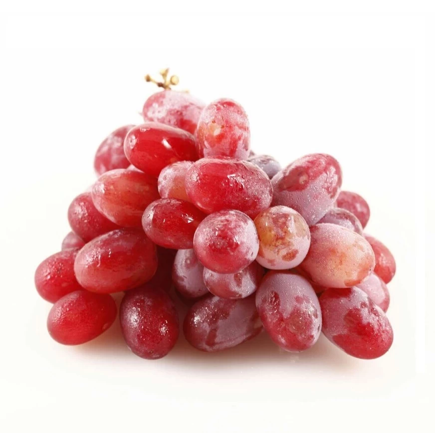 Buy Crimson Grapes from Agrotica, Lebanon | Tradewheel.com