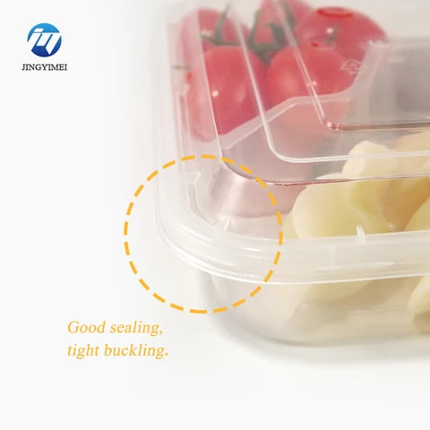 Buy Bento Pp Plastic Lunch Boxes Disposable Plastic Takeaway Boxes 4 ...