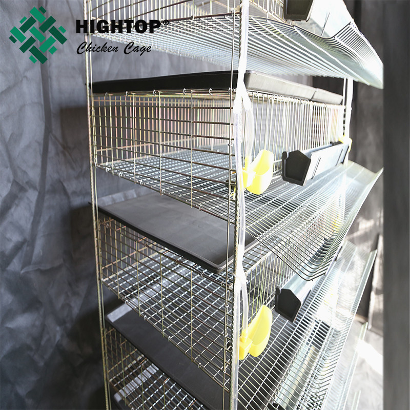 Buy Commercial Battery Quail Brooder Cage from Hebei Hightop Metal ...