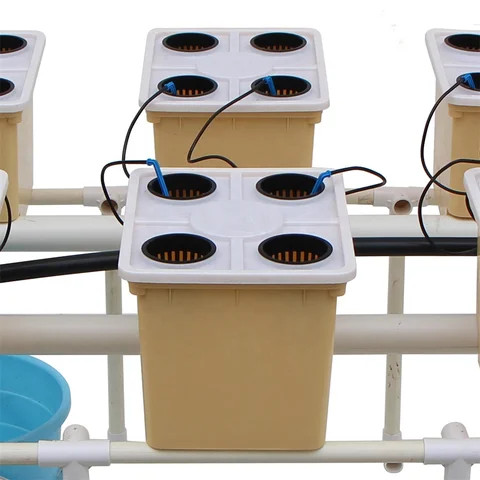 Buy Complete Hydroponics System Dutch Bucket Growing Vegetable In ...