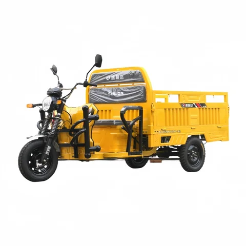 Buy Factory Price 1000w Electric Tricycles 60v Cargo Tricycle 3 Wheel ...