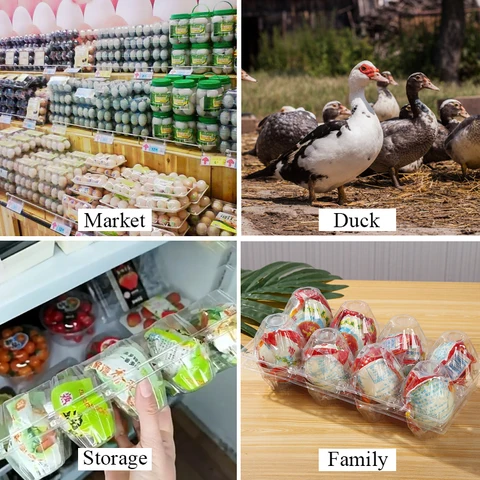 Buy Plastic Egg Boxes Clear Plastic Ducks Egg Cartons Square For 8 ...