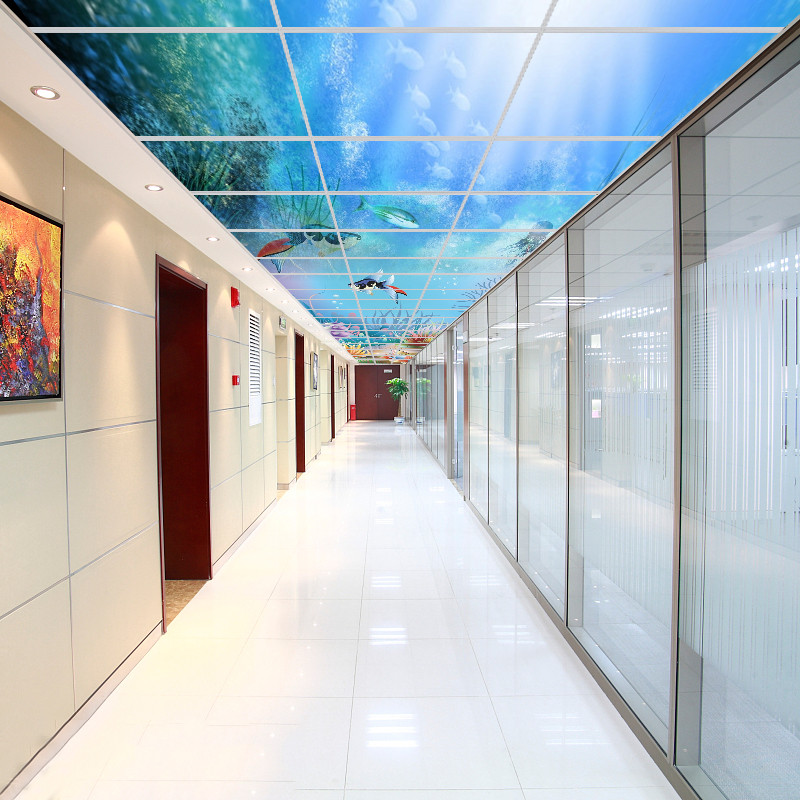 Buy Skylight Led Backlight 60x60 Ceiling Panel Lamp Square Frame Indoor ...