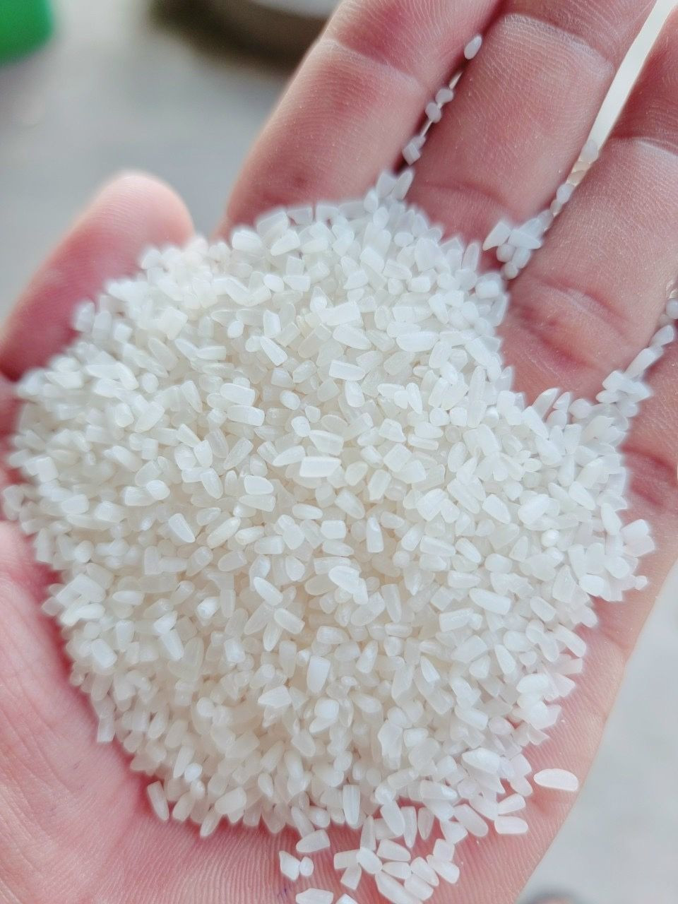 Buy Short Grains Rice 100% Broken from CHEN HAO CO., LTD, Vietnam ...