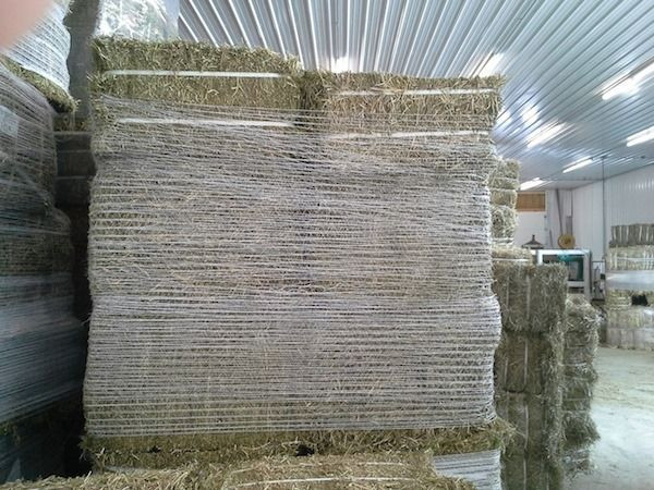 Buy Natural Alfalfa Hay – 3-string Compressed Bales For Bulk Buyers ...