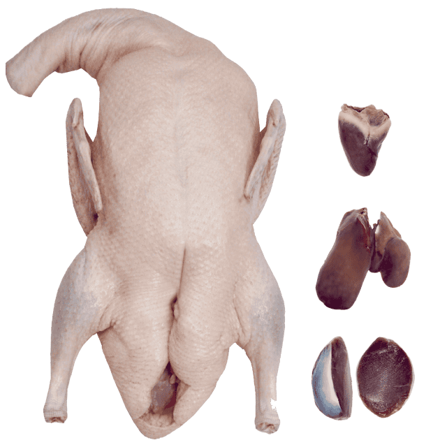 Buy Halal Frozen Duck Meat, Duck Meat Parts / Frozen Whole Duck ...