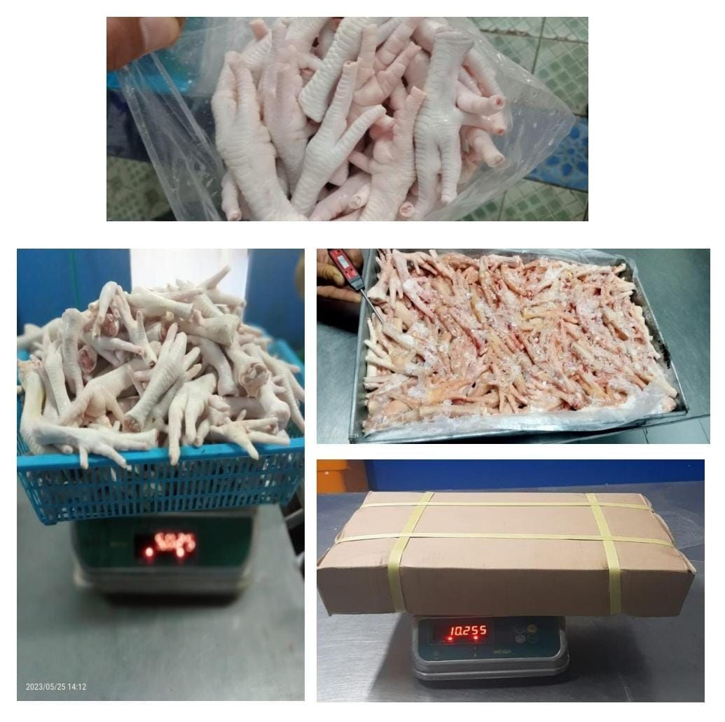 Buy Chicken Paws from Java Exportindo PMA, Indonesia | Tradewheel.com