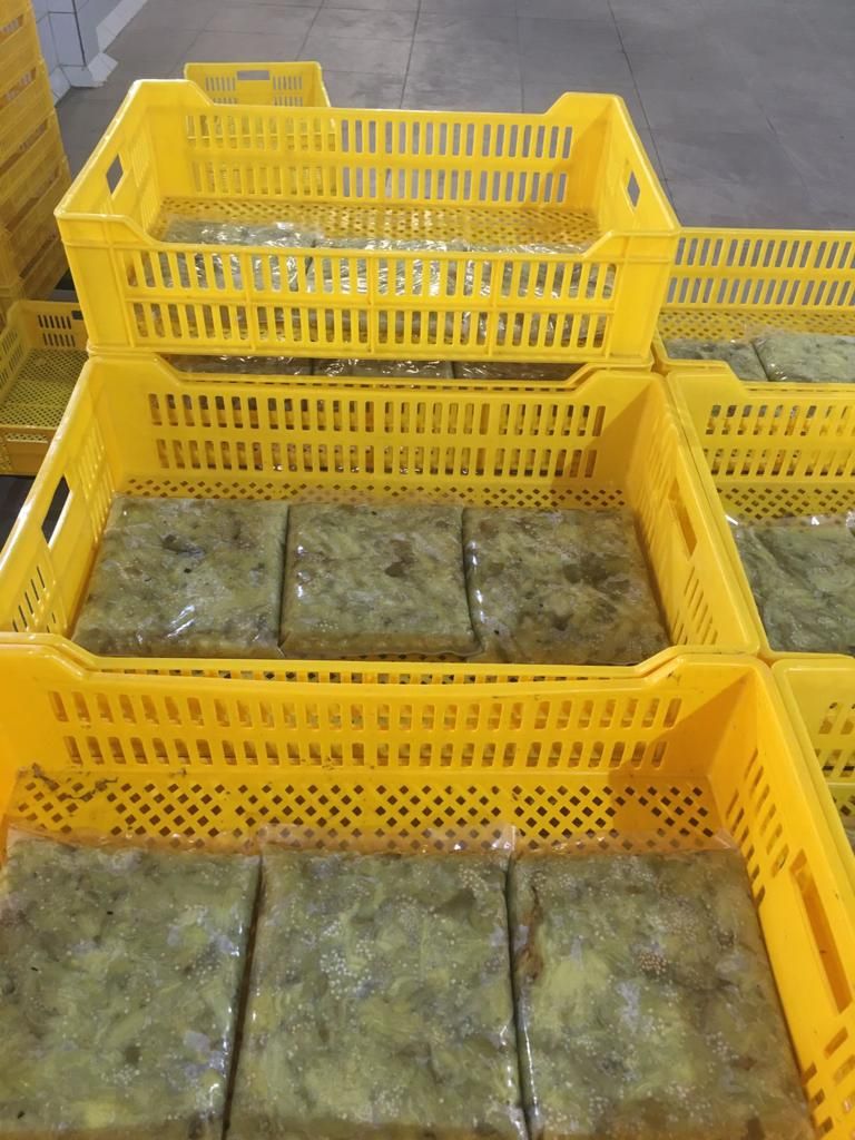 Buy Frozen Roasted Eggplant from kemet farms, Egypt | Tradewheel.com