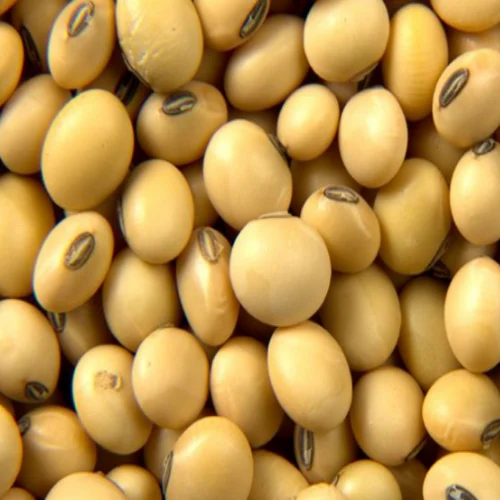 Buy Premium-grade Soybean Grown From Malawi from Yahu Investments ...