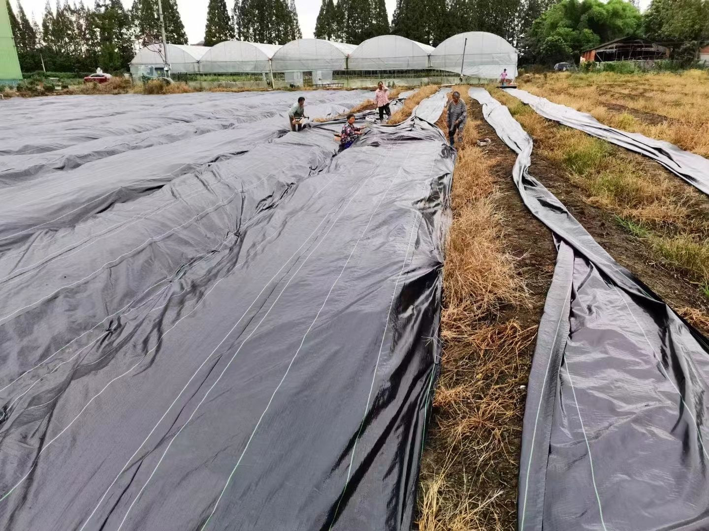 Buy Ground Cover from Shandong Huimin Yuequn Chemical Fiber Rope Net ...