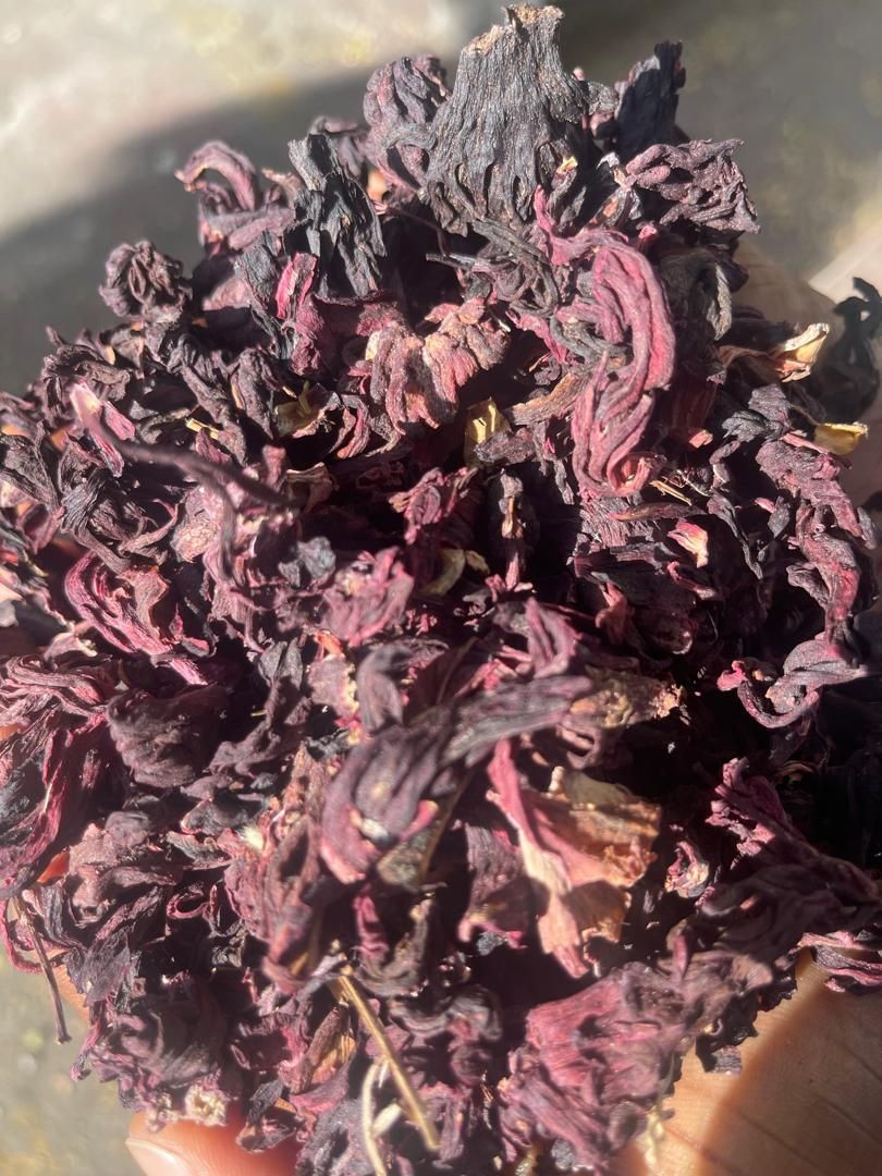 Buy Hibiscus Flower from SHOOLIN OVERSEAS FZE, United Arab Emirates ...