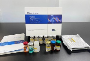 Buy Guinea Pig Eosinophil Cationic Protein Elisa Kit from Bluegene ...
