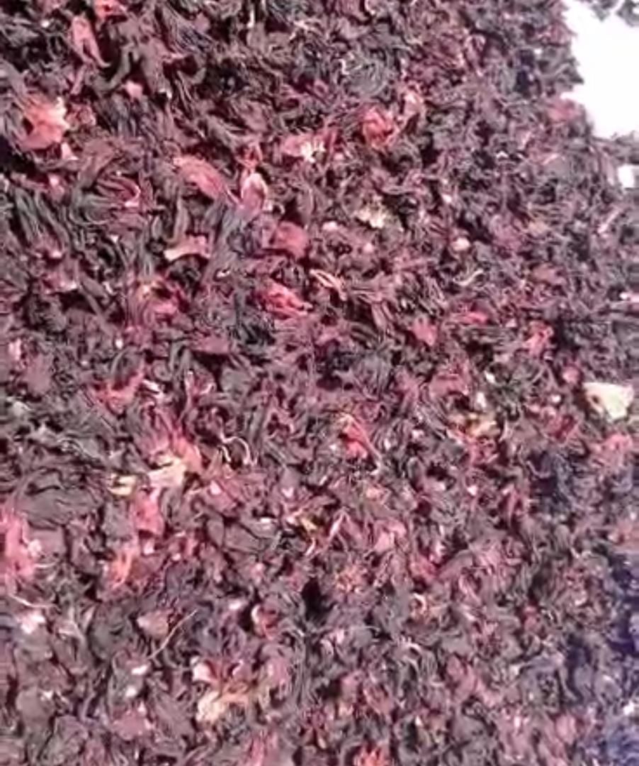 Buy Hibiscus Flower from SHOOLIN OVERSEAS FZE, United Arab Emirates ...