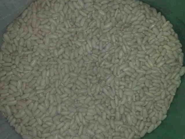 Buy Egyptian White Kidney Beans from Kemet farms, Egypt | Tradewheel.com
