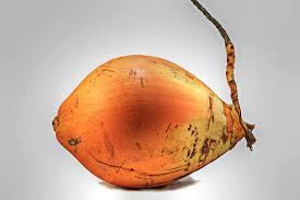 Buy King Fresh Coconut from Ceylon Thambapanni, Sri Lanka | Tradewheel.com