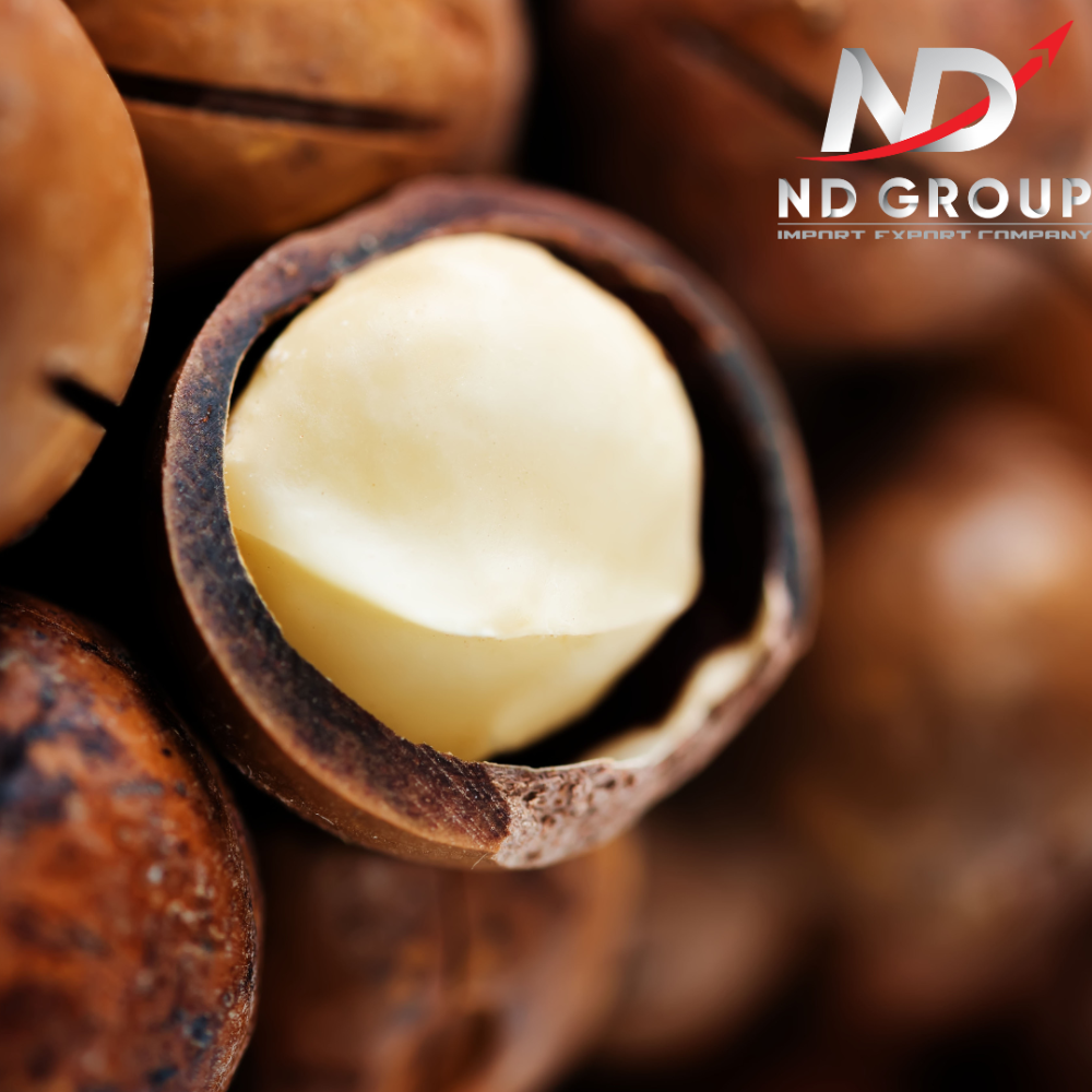 Buy Roasted Macadamia Nuts In Shell from ND Group Import Export Company ...