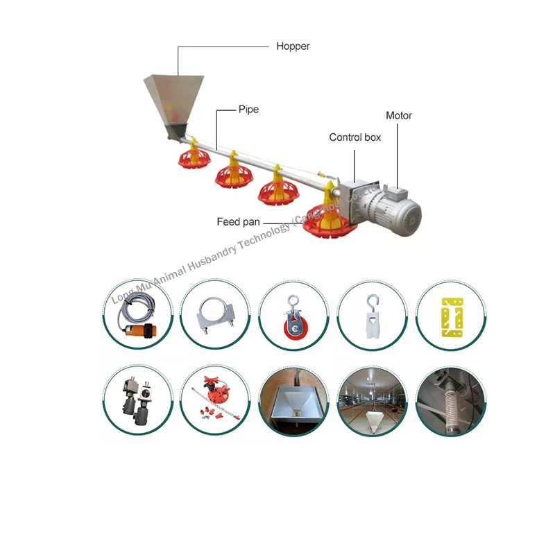 Buy Automatic Poultry Feeding Line Feeder Pan For Poultry Feeding Line ...
