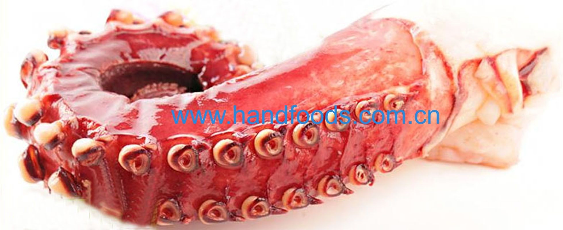 Buy Frozen Cooked Gaint Octopus Tentacle from Hand Foods (Dalian) Co ...