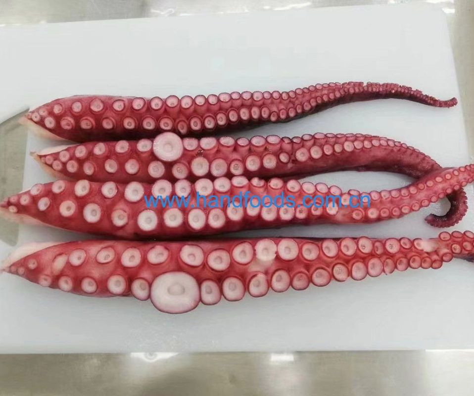 Buy Frozen Cooked Gaint Octopus Tentacle from Hand Foods (Dalian) Co ...