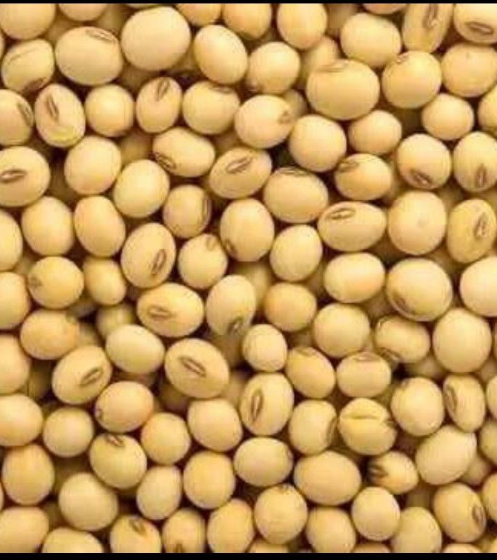 Buy Soya Bean from Company - IDEMUDIA JOHN EGHOSA, Nigeria | Tradewheel.com