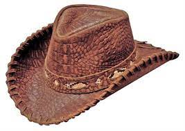Buy Crocodile Skin Cowboy Hat Custom Style from Texcher International ...