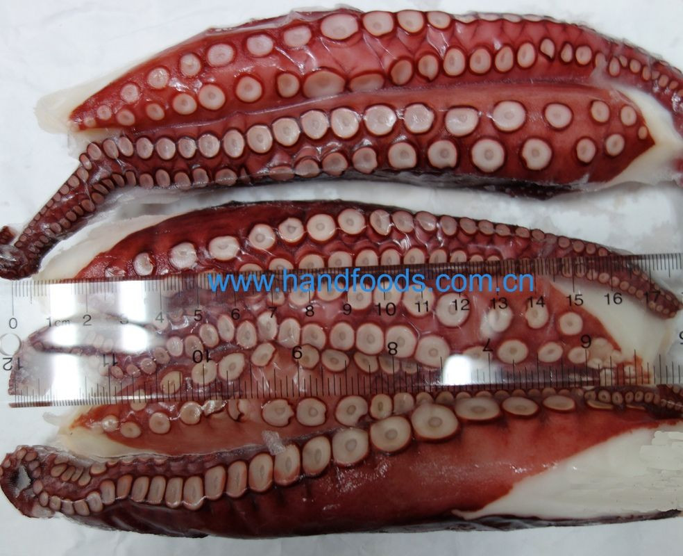 Buy Frozen Cooked Gaint Octopus Tentacle from Hand Foods (Dalian) Co ...