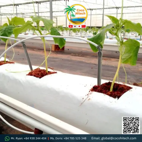 Buy Coco Peat Slabs Of Choice For Growing Strawberries High Quality ...