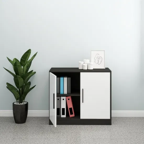 Buy Contemporary Executive Office Storage Cabinet With Custom Features ...