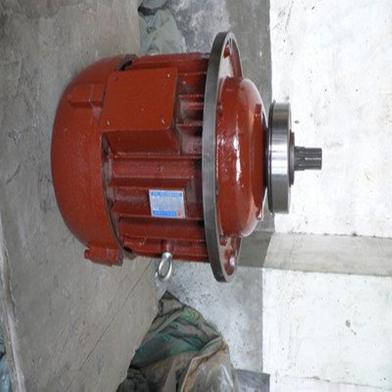 Buy Electric Hoist Motor Up And Down Nanjing Special General Factory ...