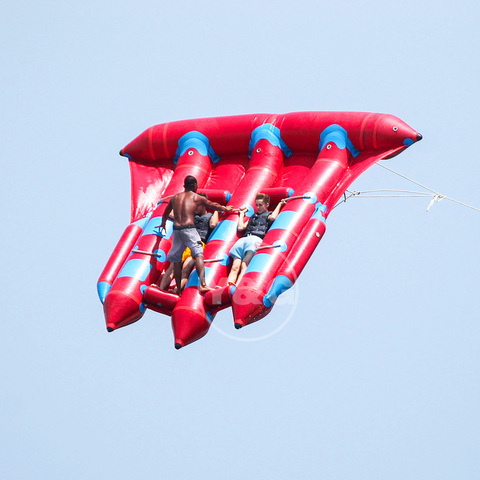 Buy High Quality Tube Inflatable Flying Fish Tube Towable For Water ...