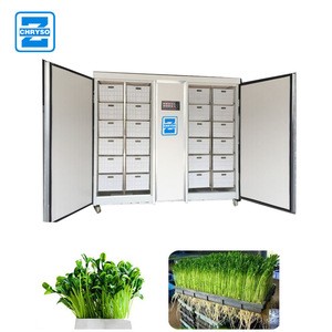 Buy Hydroponic Systems Sprouts Green Mung Bean Sprout Growing Machine ...