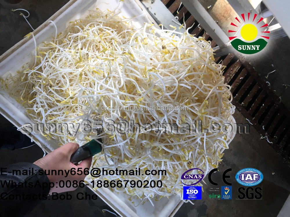 Buy New Bean Sprouts Growing Machine, Full Automatic Mung Bean Sprout ...