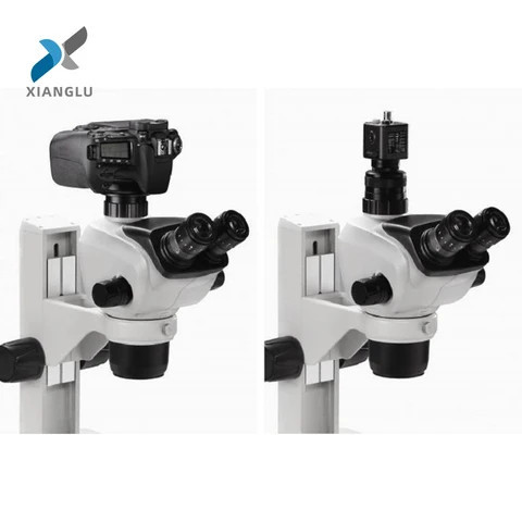 Buy Xianglu Biological Microscope Microscope Digital Microscope For ...