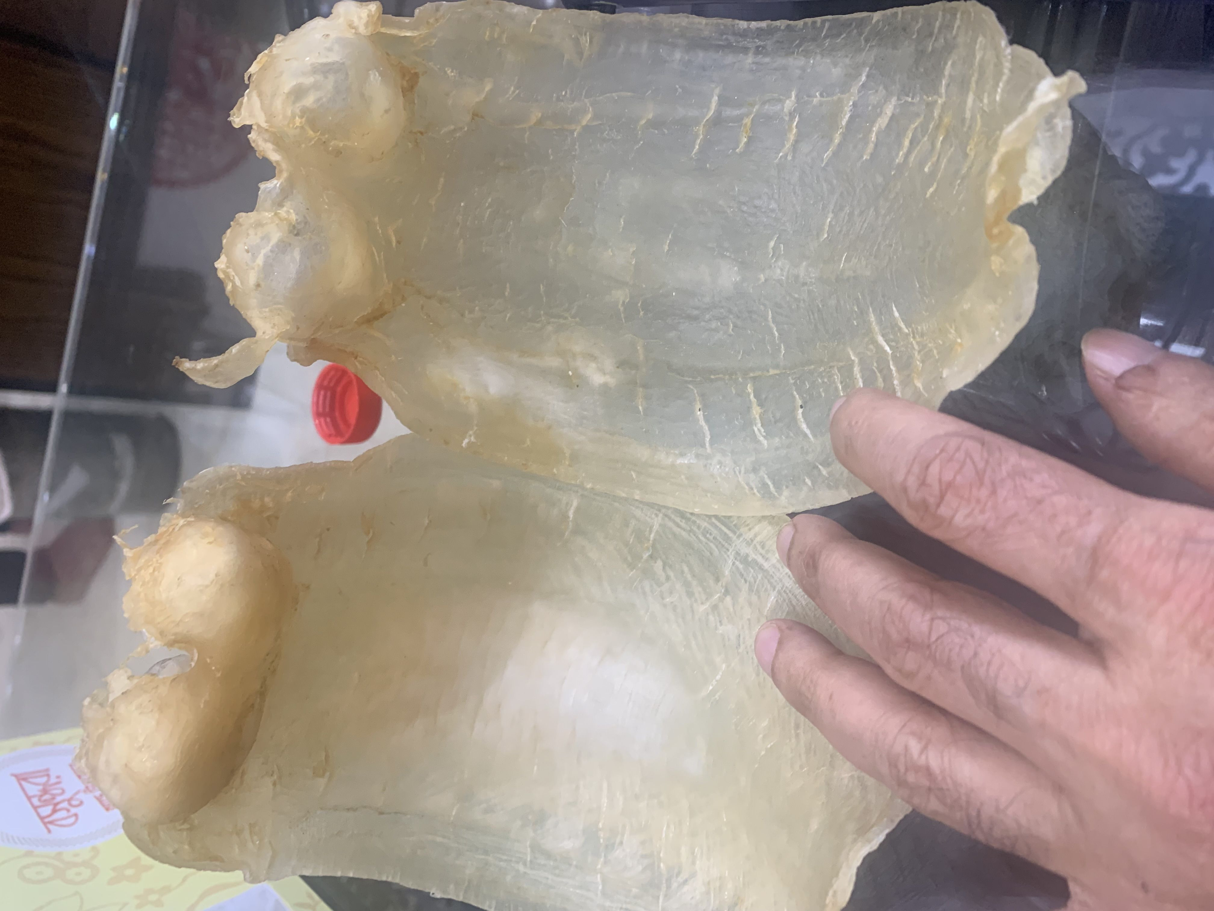 Buy Fish Maw from Fish Maw of Bengal Sea, Bangladesh | Tradewheel.com