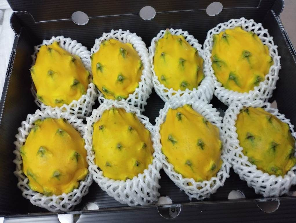 Buy Sell Fruits Exotics . Red Pitaya - Passion Fruit - Yellow Pitaya ...